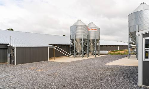 Poultry Production | Poultry Production Equipment | Big Dutchman USA