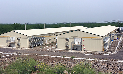 Big Dutchman USA | Betco Asia Acquisition | Ag Bulilding