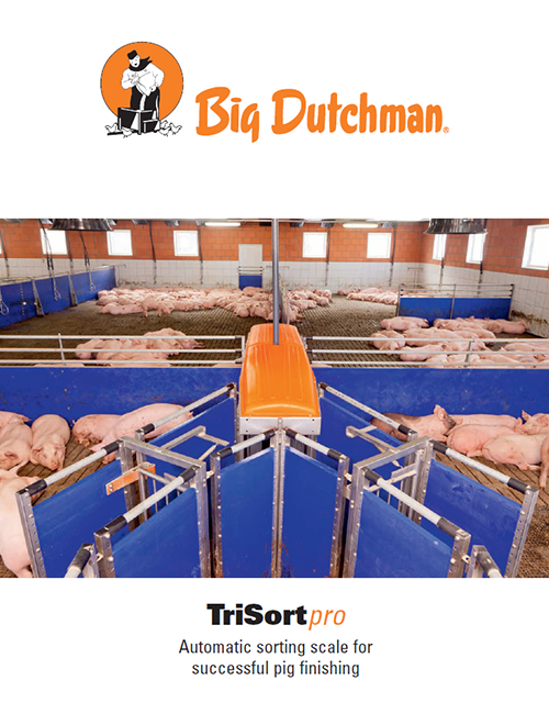 Pig Sorting | TriSortPro | Sorting | Pig Housing | Big Dutchman | USA