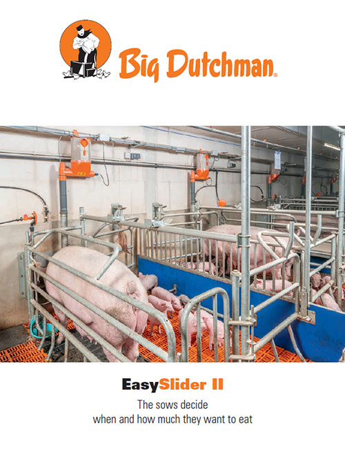 EasySlider II | Sow Feeding System | Big Dutchman | USA